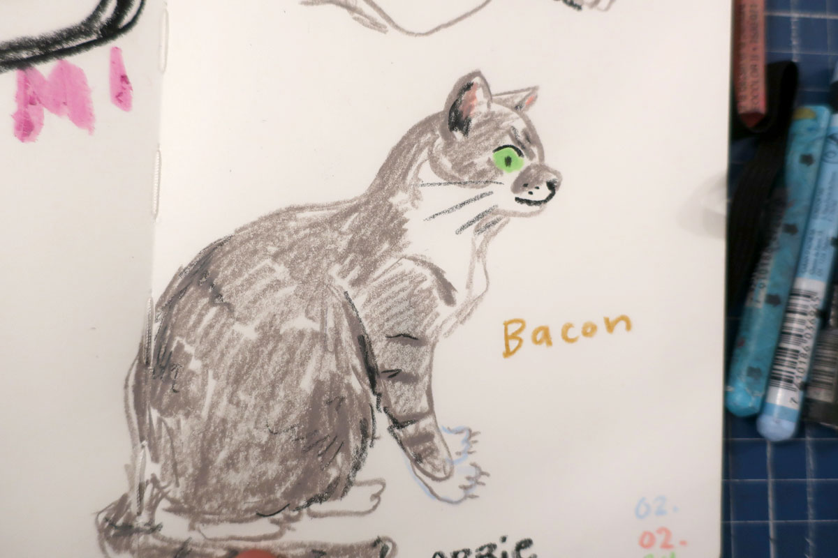 24_01_02_chats_sarah_bacon - Orbie, autrice et illustratrice