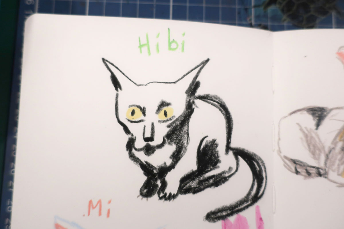 24_01_02_chats_sarah_hibi - Orbie, autrice et illustratrice