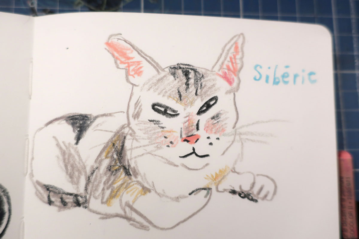 24_01_02_chats_sarah_siberie - Orbie, autrice et illustratrice